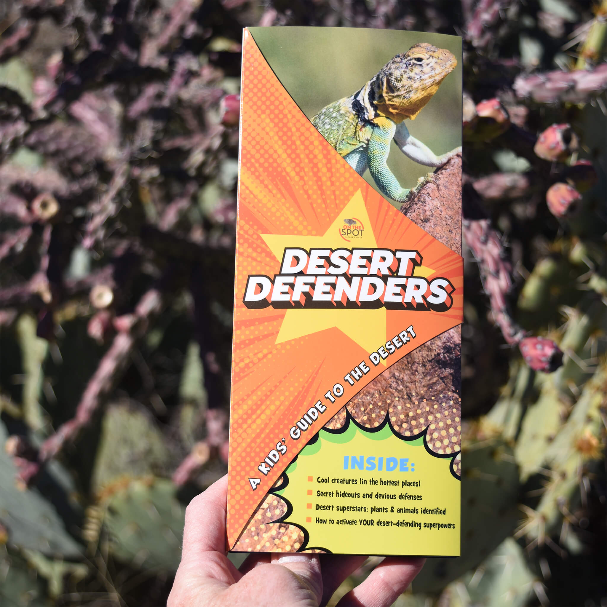 Desert Defenders A Kids Guide To The Desert On The Spot Nature Guides